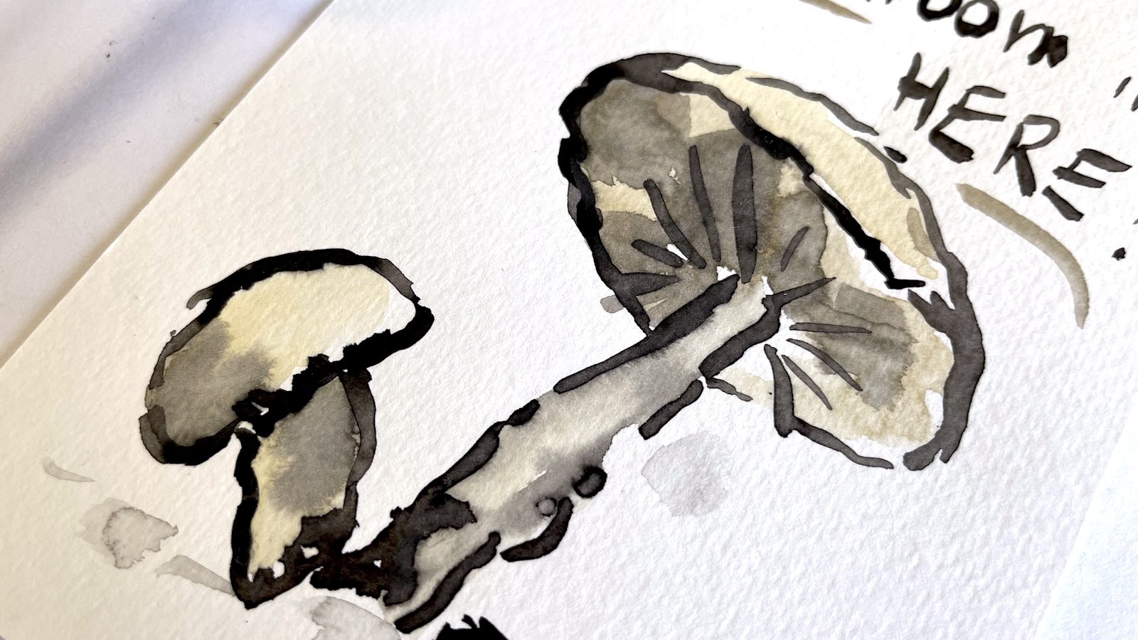 Exploring Etegami Art: A Watercolor Journey for the Soul | Diane Antone ...