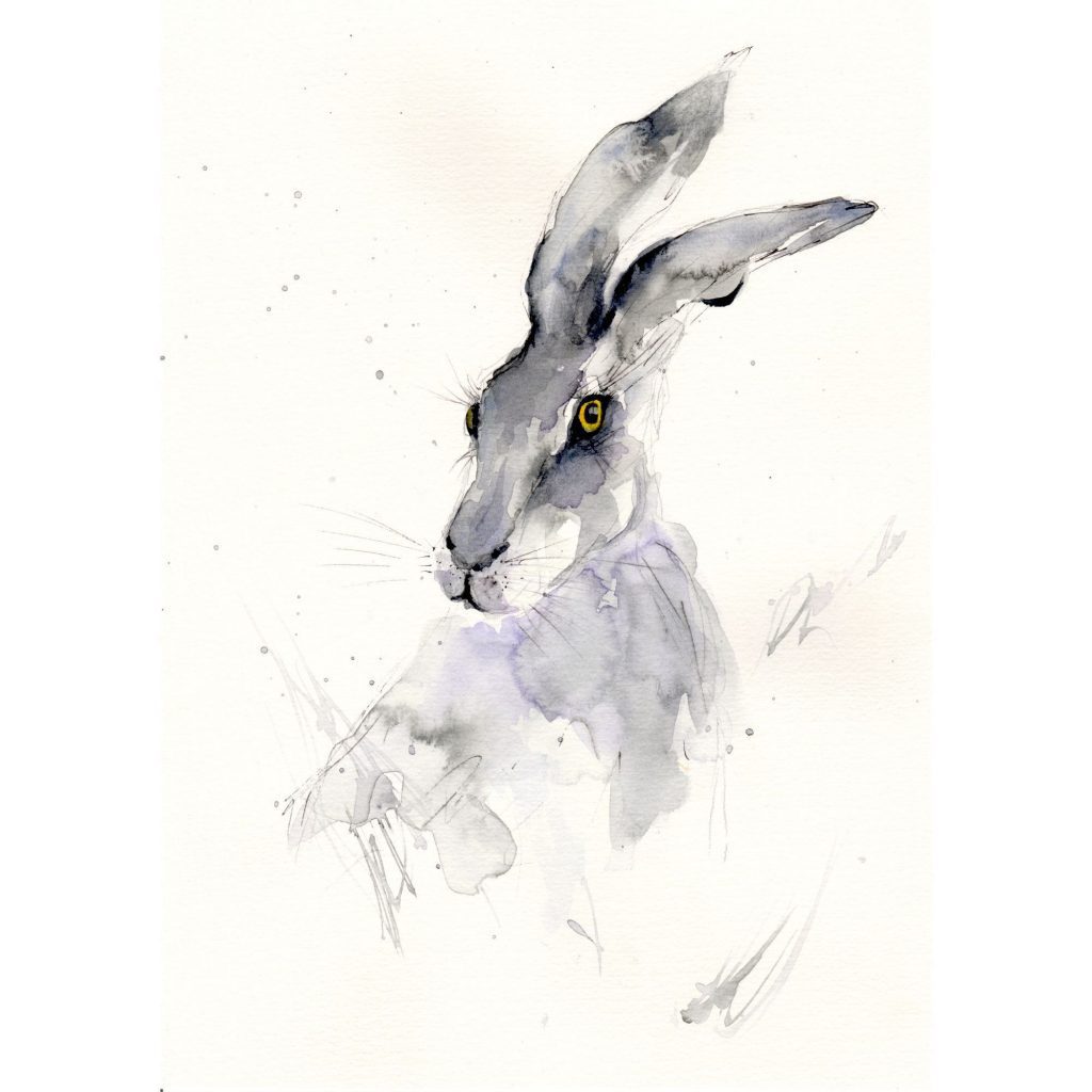 Shop My Prints | Diane Antone Studio