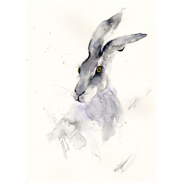 Shop My Prints | Diane Antone Studio
